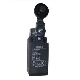 Roller Lever Limit Switch E100