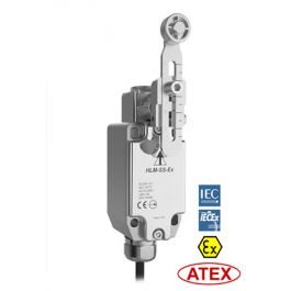 Atex Limit Switch Adjustable Roller Lever 2NO+2NC 3M Cable
