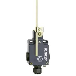 Position switch Ex 1N/O 1N/C Forked Lever